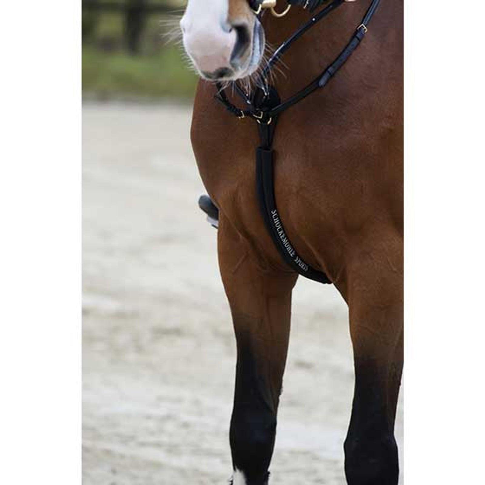 Body Guard, neoprene tube breastplate Coffee Liqueur One Size – horze