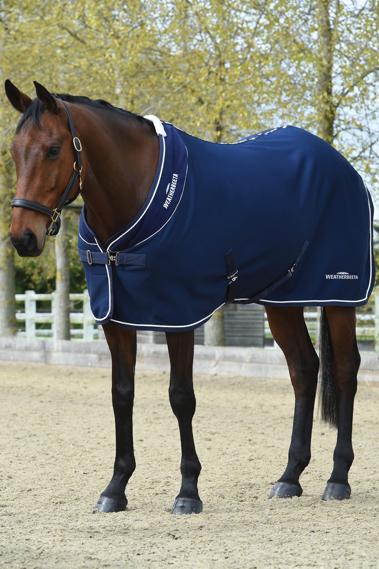 Opulence Show Sheet Standard Neck – horze