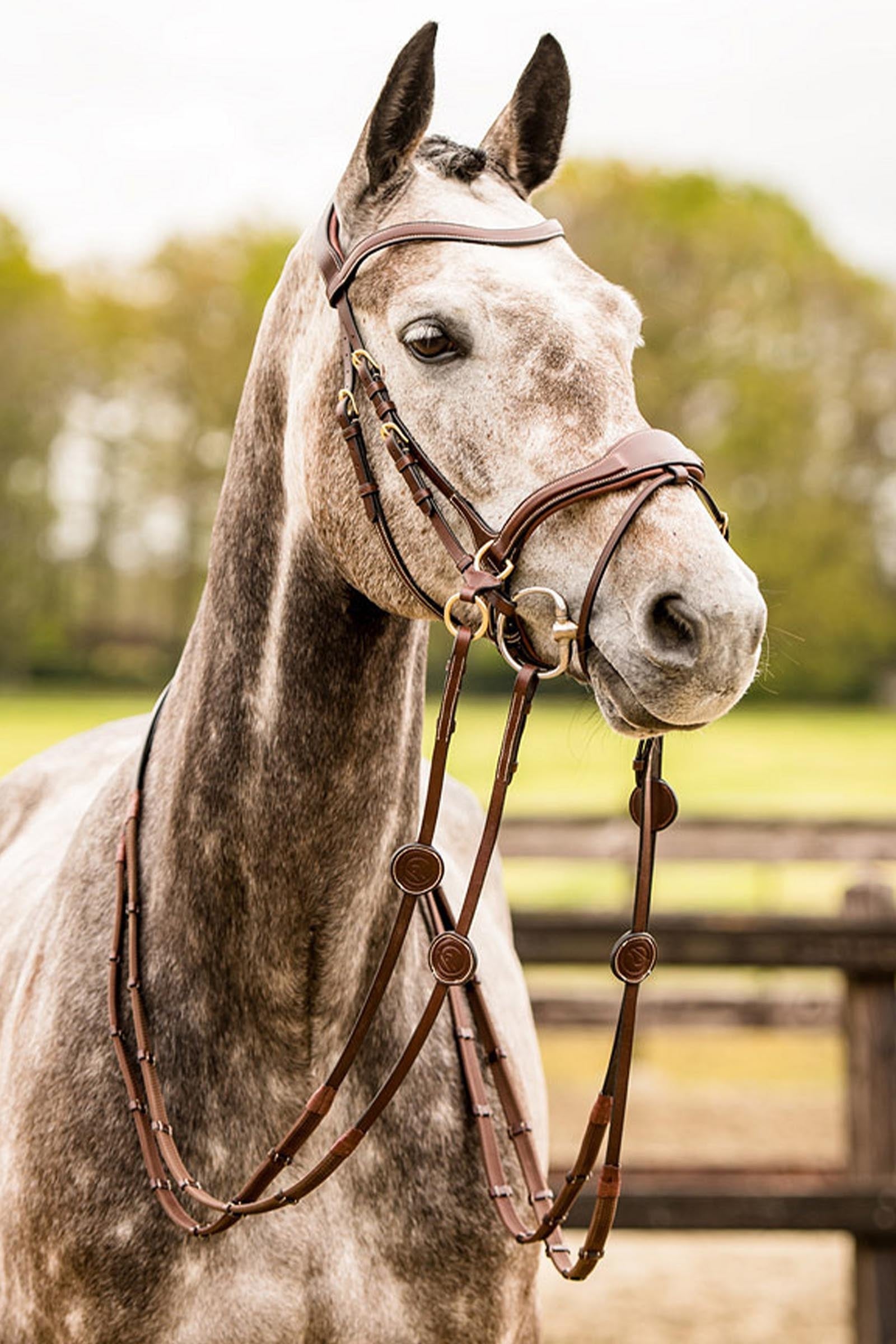 Falsterbo T-motion Bridle Brown/Gold C – horze