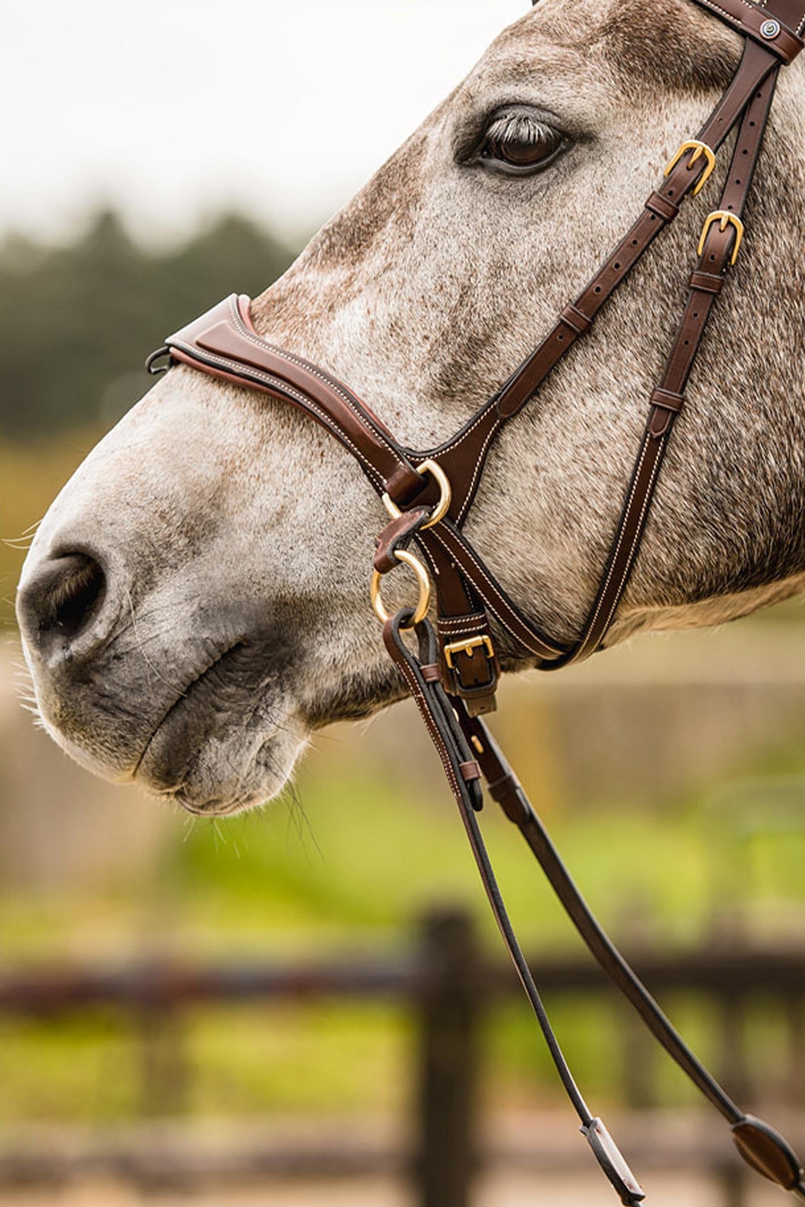 Falsterbo T-motion Bridle Brown/Gold C – horze