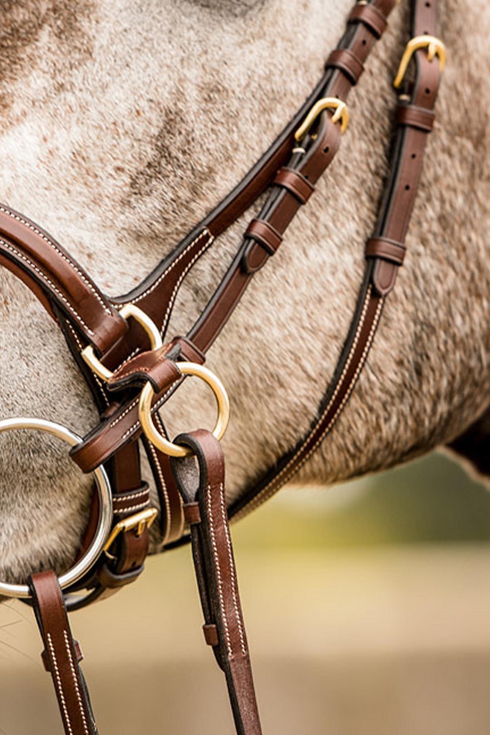 Falsterbo T-motion Bridle Brown/Gold C – horze
