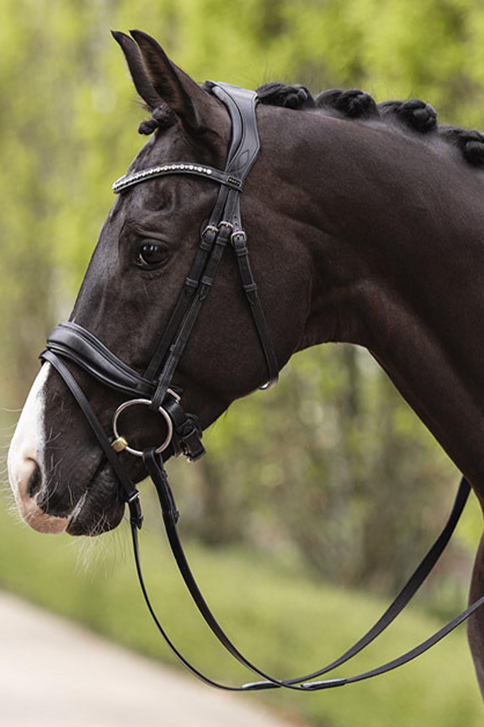 ANKY Comfort Line Bridle With Pull Back Black F – horze
