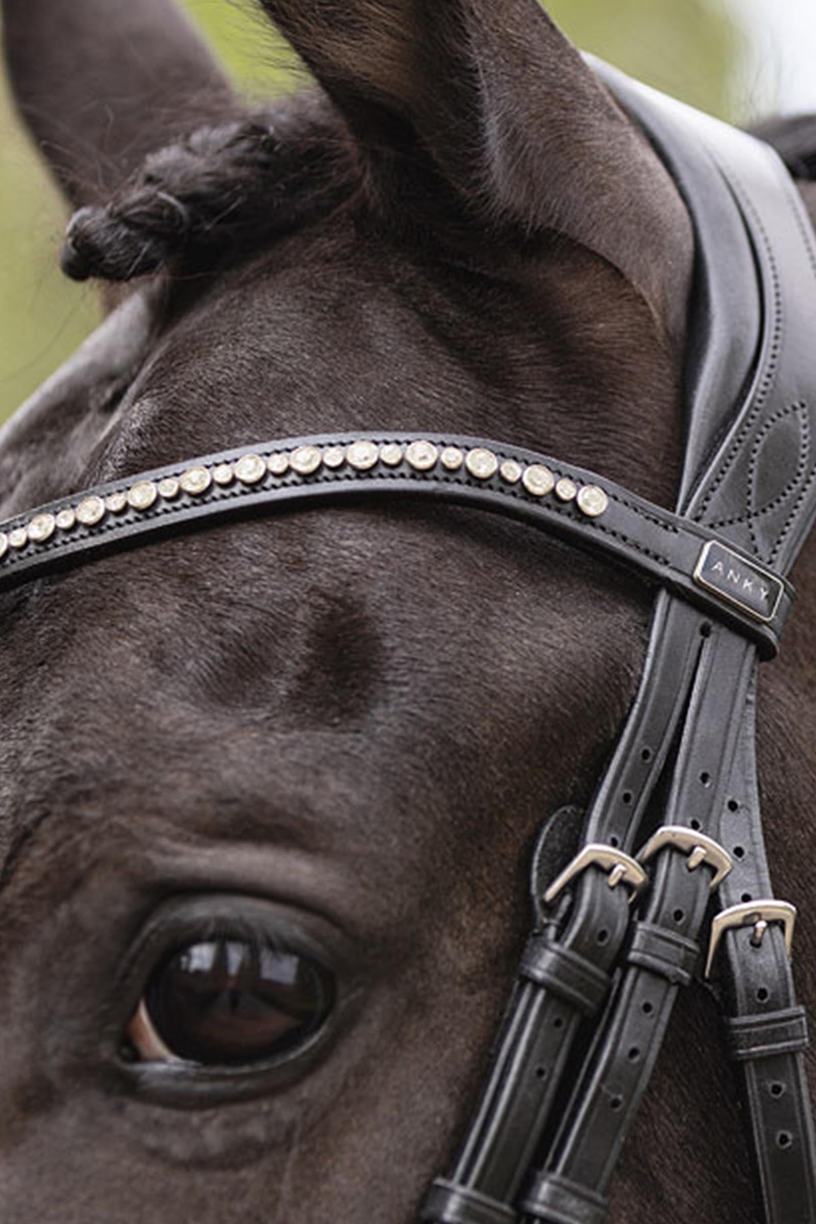 ANKY Comfort Line Bridle With Pull Back Black F – horze